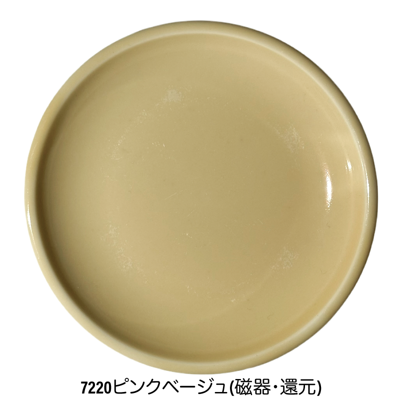 7220ピンクベージュ(1.8L) – 深海商店オンラインストア